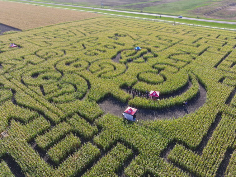 Corn Maze Tour | Fargo Monthly