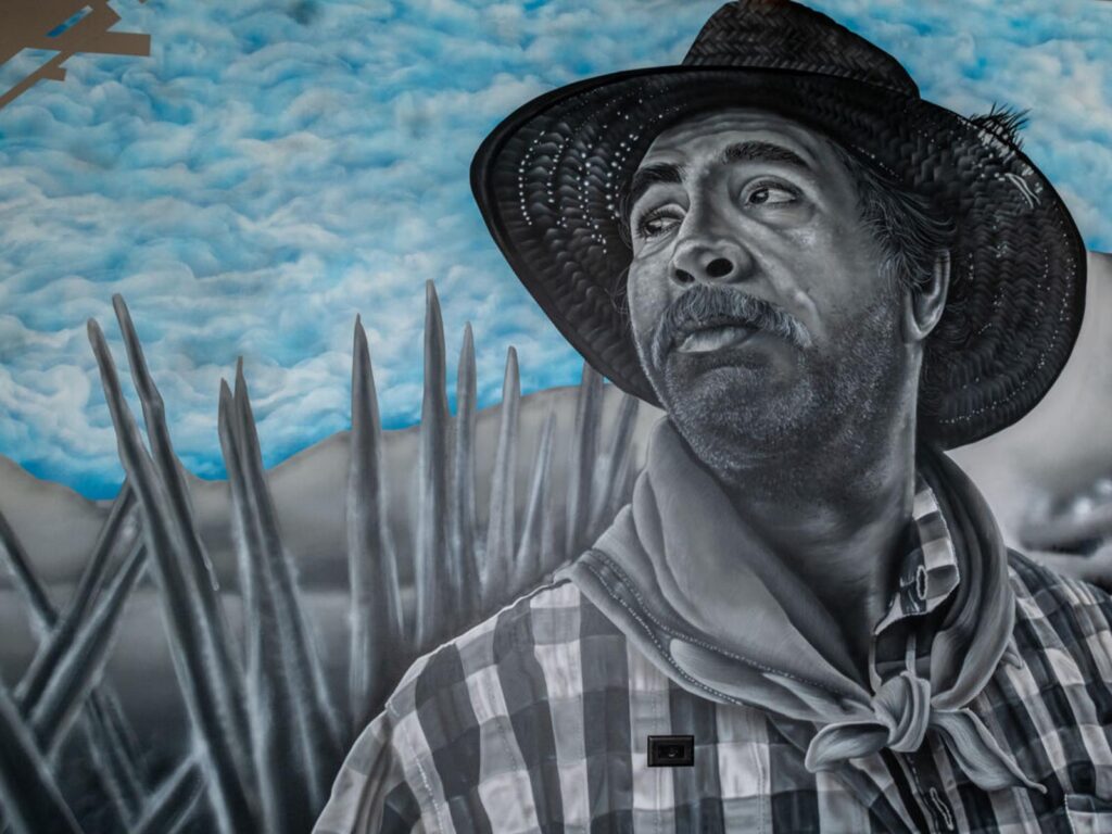 Mas Tequila Wins With Spirit | Fargo Monthly